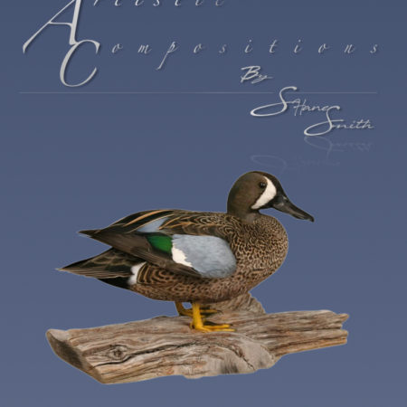 Dead Mounts for Waterfowl Taxidermy *** Dead mounts in bird Taxidermy ...