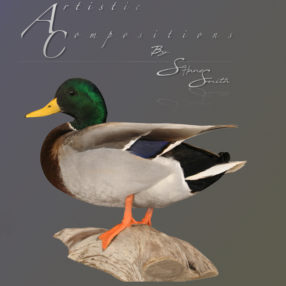 Dead Mounts for Waterfowl Taxidermy *** Dead mounts in bird Taxidermy ...