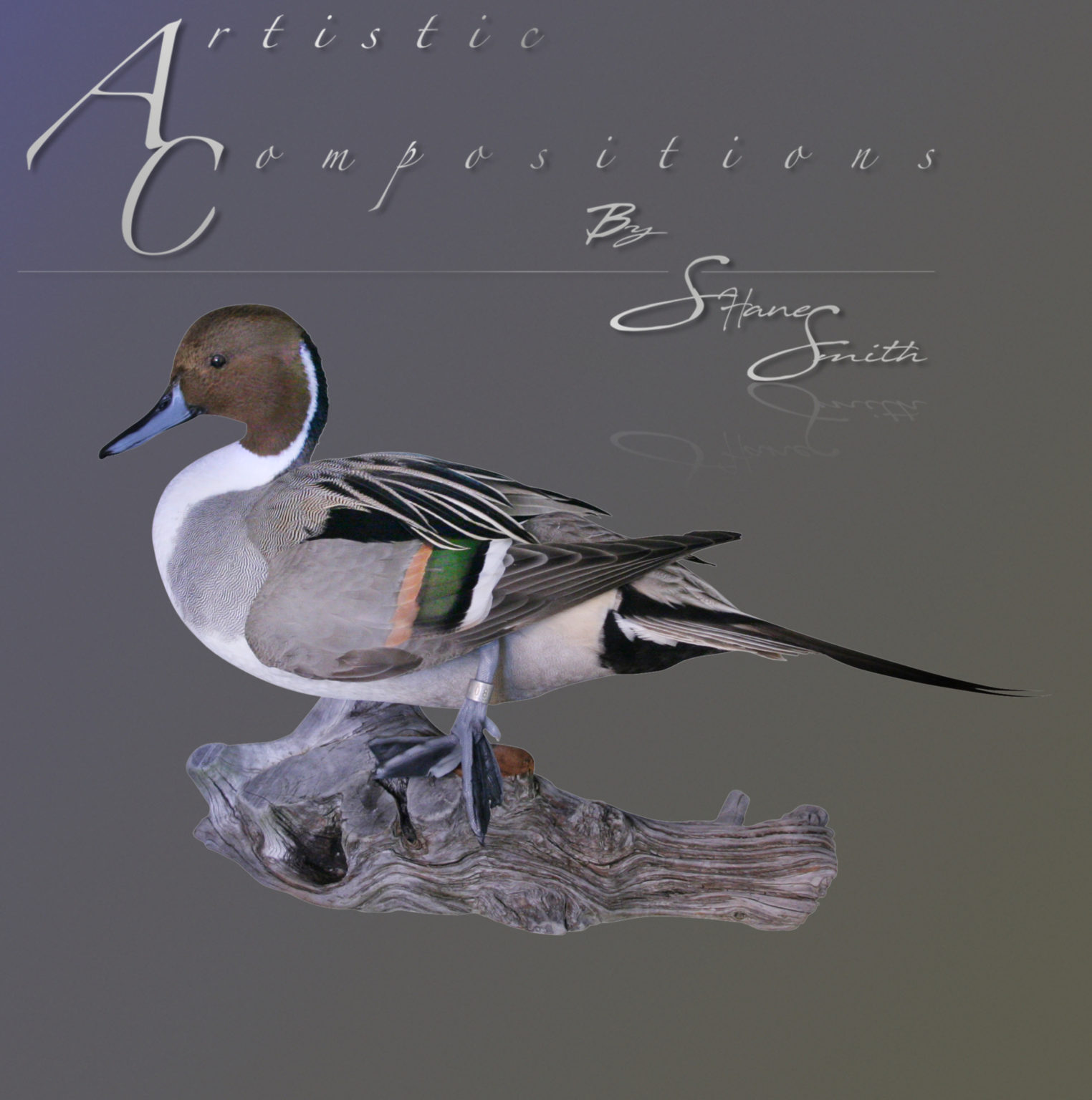 Waterfowl Taxidermy *** Upland Taxidermy *** Duck Mounts *** Goose ...