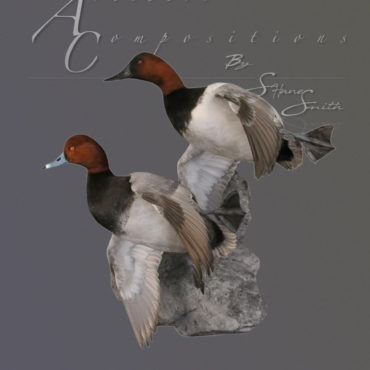 Flying Waterfowl Mounts *** Flying Ducks *** | *** Waterfowl Taxidermy ...